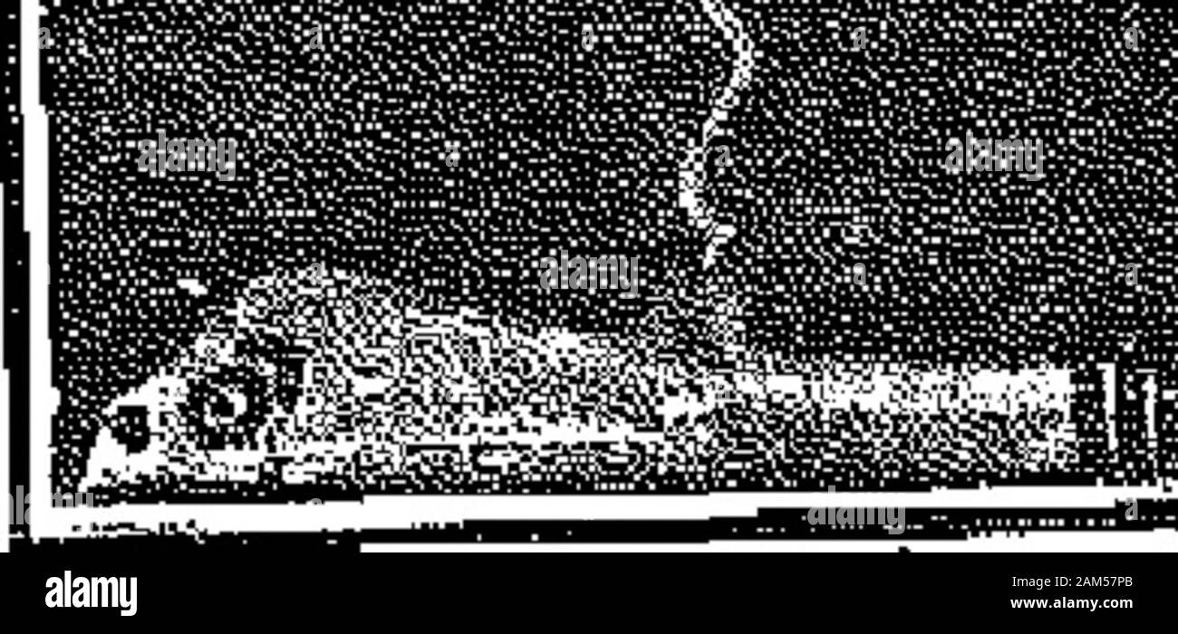 The War Cry Stock Photo - Alamy