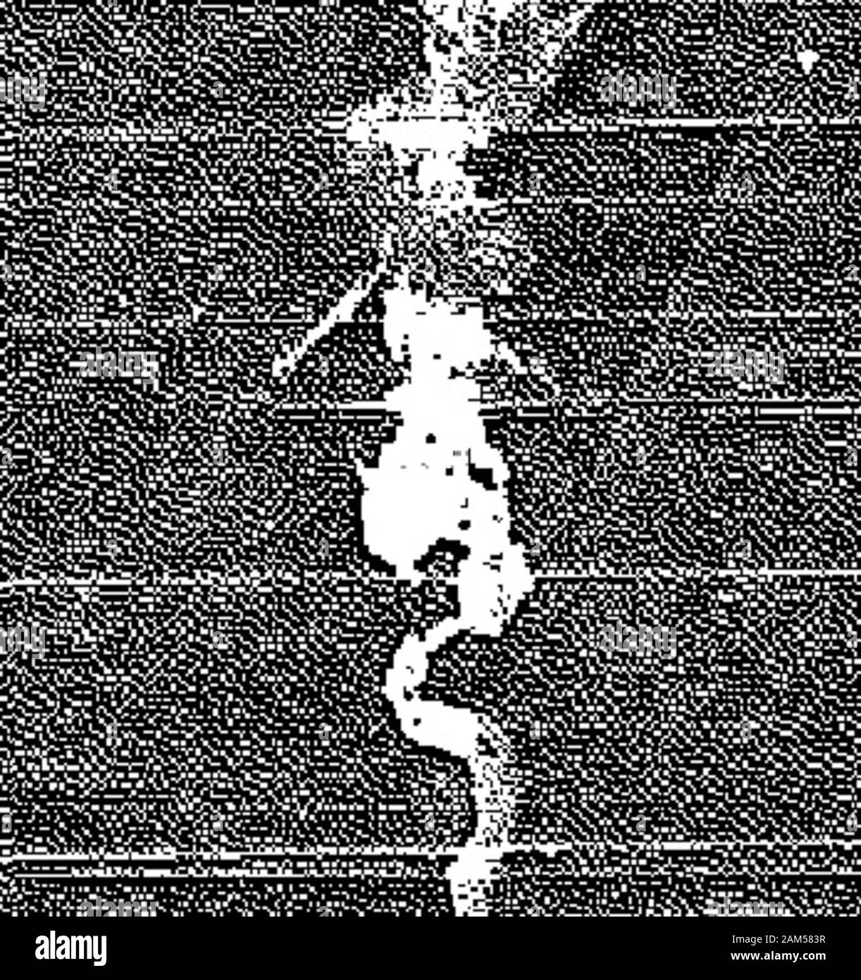 The War Cry Stock Photo - Alamy