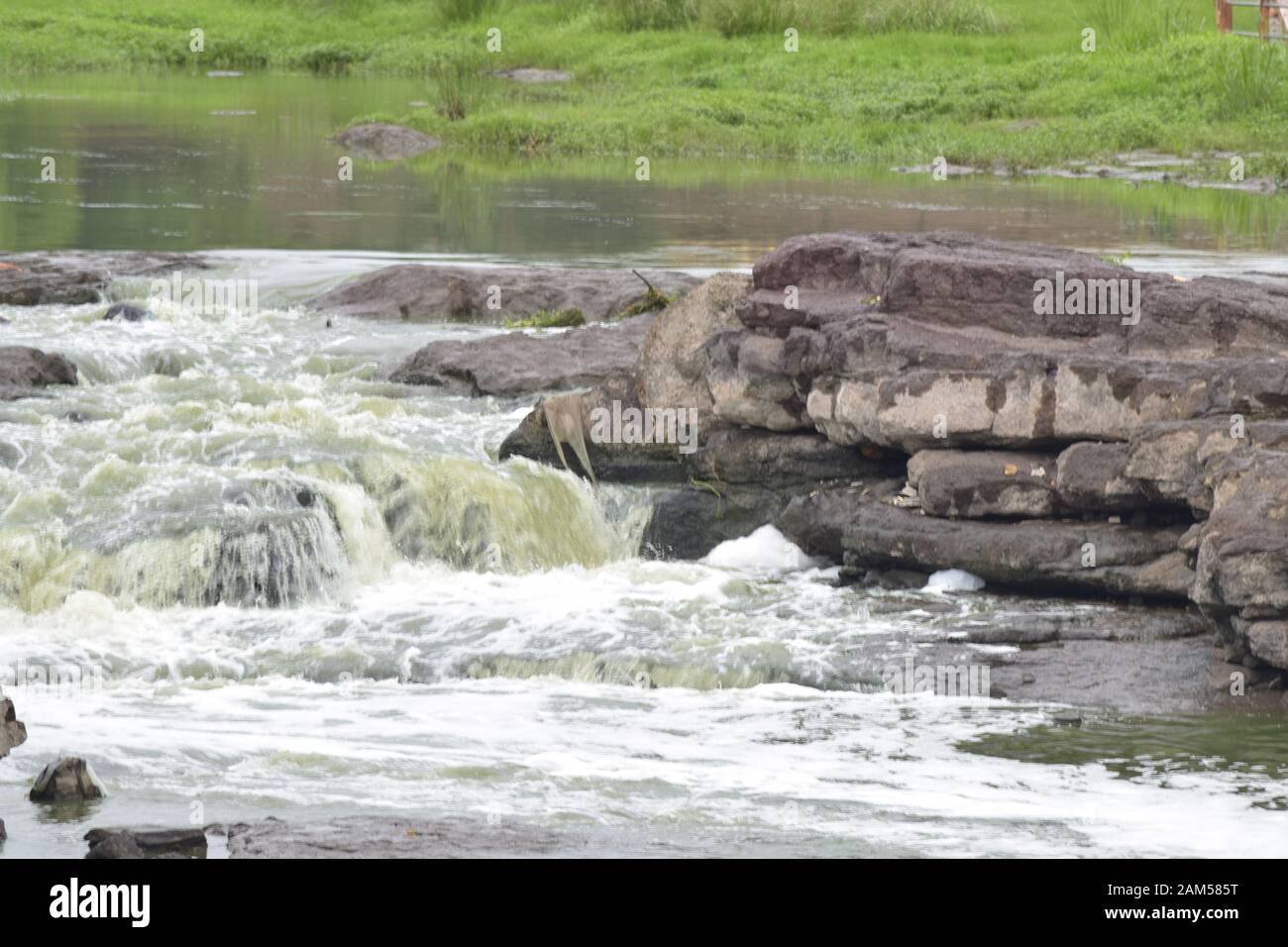 Godavari River Origin