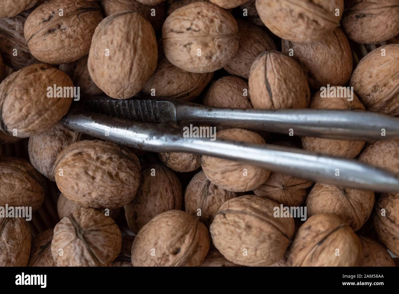 American walnut texture hi-res stock photography and images - Alamy
