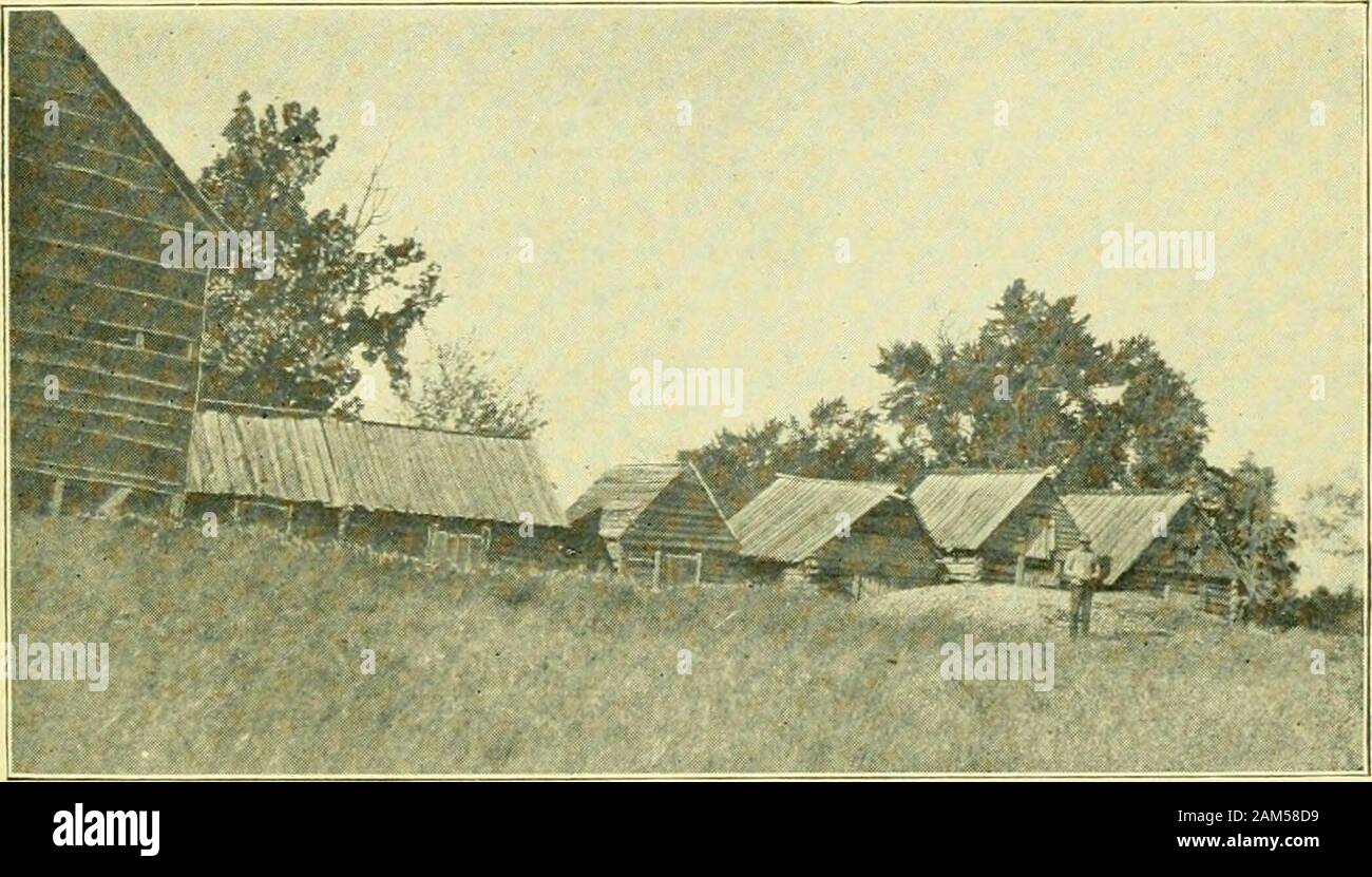 Life in old Virginia; a description of Virginia more particularly the ...