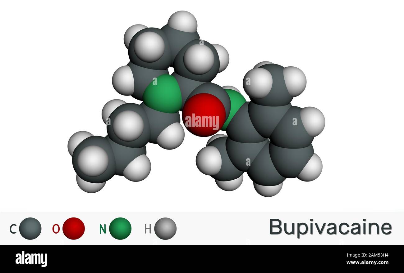 Bupivacaine molecule, is an amide-type, long-acting local anesthetic ...