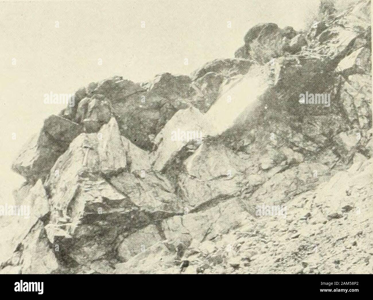 The geology of the Dun Mountain subdivision, Nelson . Dyke of Worn ...