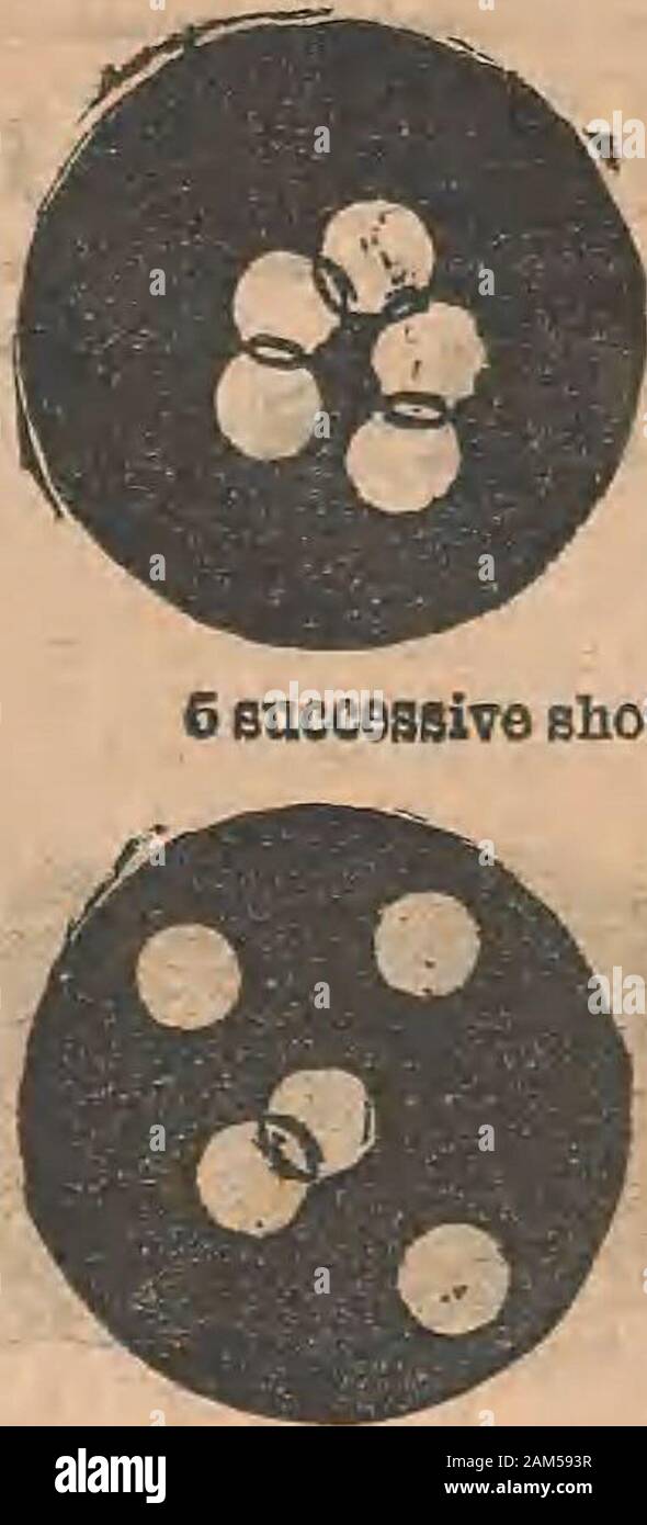 14 inch shells hi-res stock photography and images - Alamy