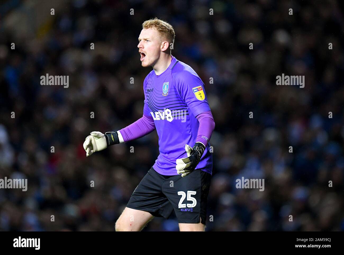 Sheffield Wednesday goalkeeper Cameron Dawson during the Sky Bet ...