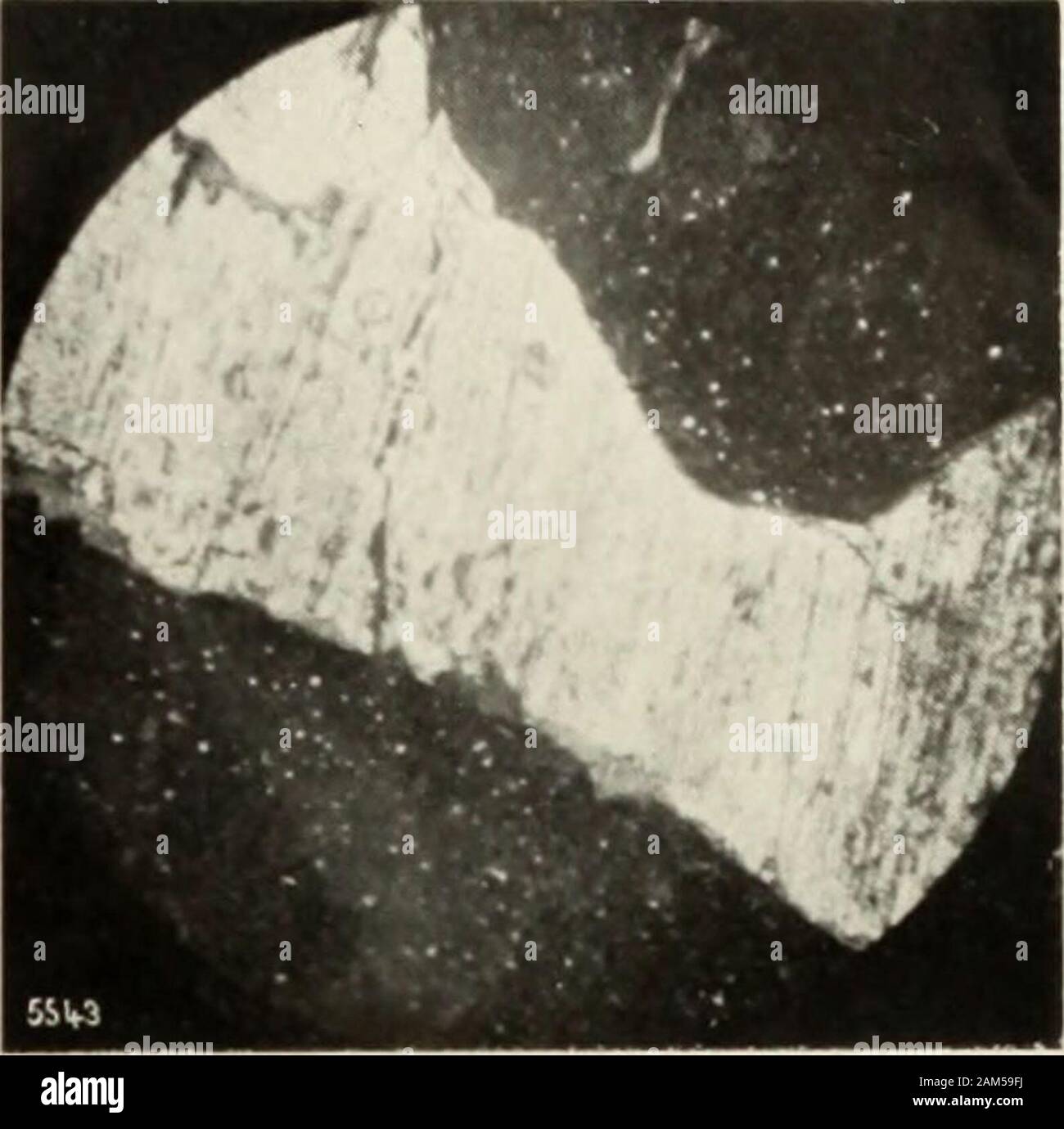 The geology of the Dun Mountain subdivision, Nelson . rV^ X Stock Photo ...