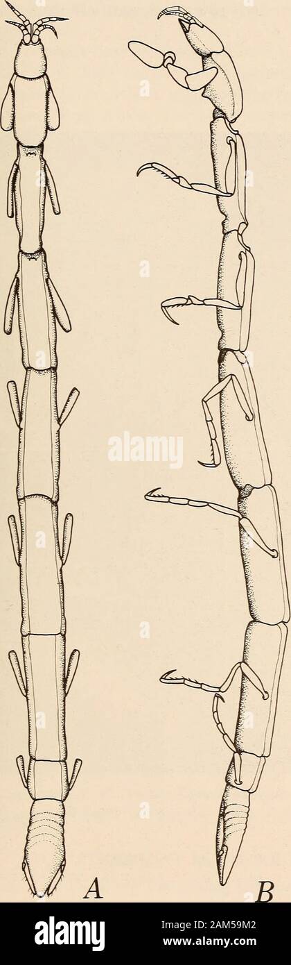 Annals of the South African Museum = Annale van die Suid-Afrikaanse ...