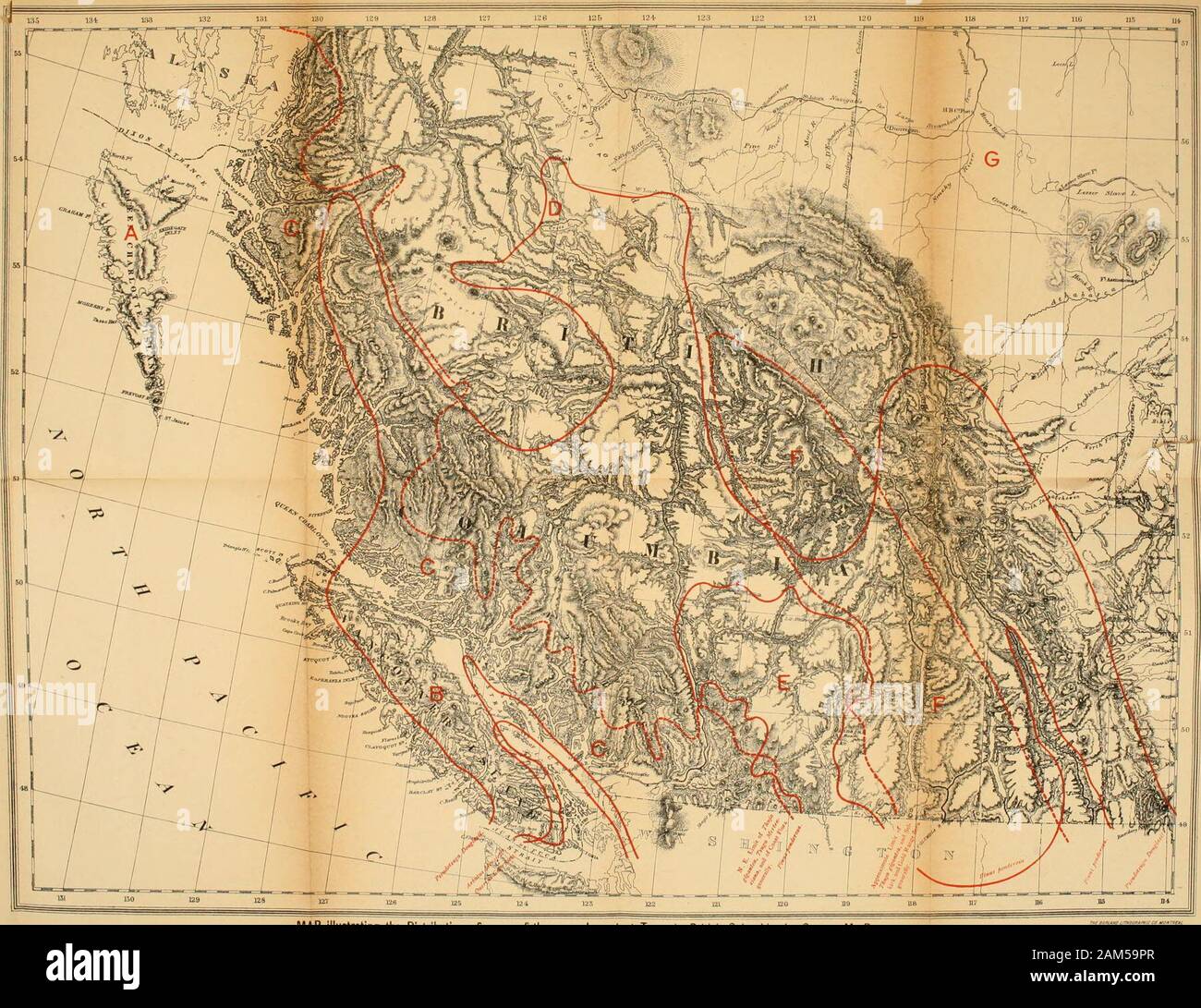 Map of mena hi-res stock photography and images - Alamy