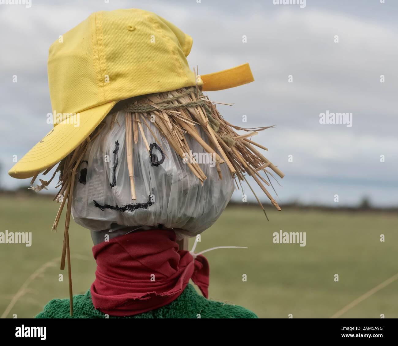 The stanghow scarecrows 2019, part of the North Yorkshire scarecrow ...