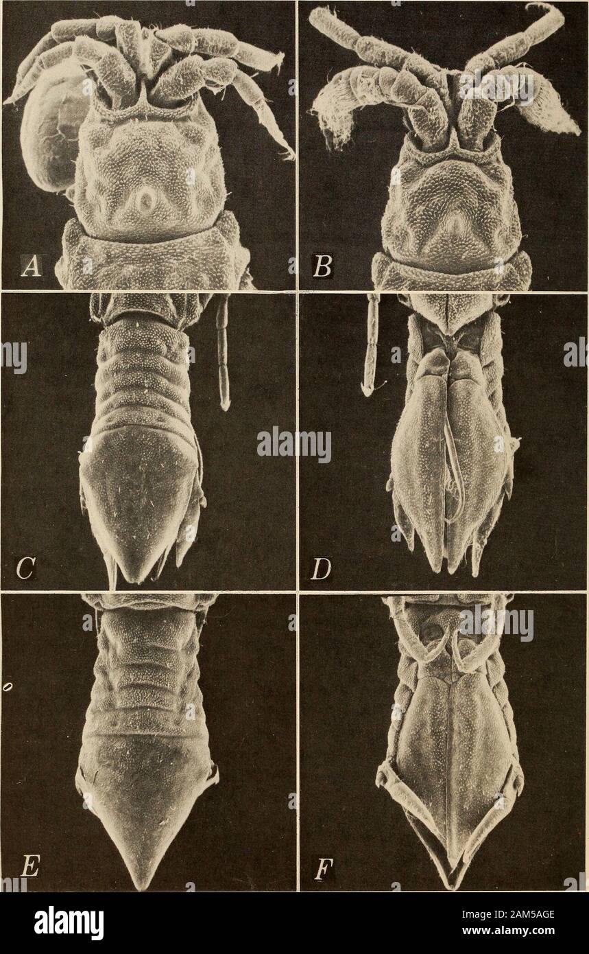 Annals of the South African Museum = Annale van die Suid-Afrikaanse ...