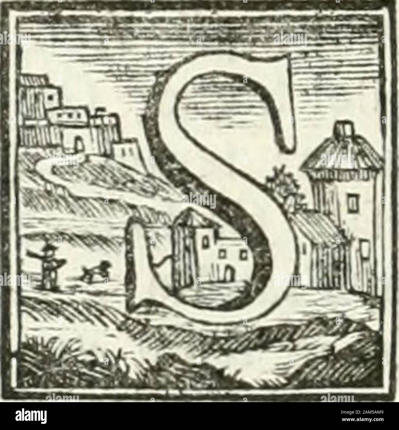 Barba di maria hi-res stock photography and images - Alamy