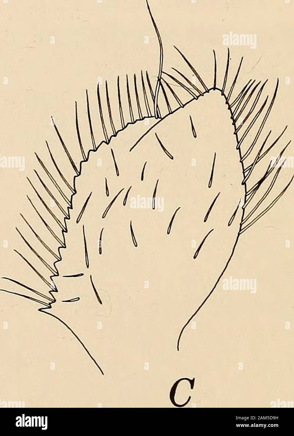 B 24d hi-res stock photography and images - Alamy