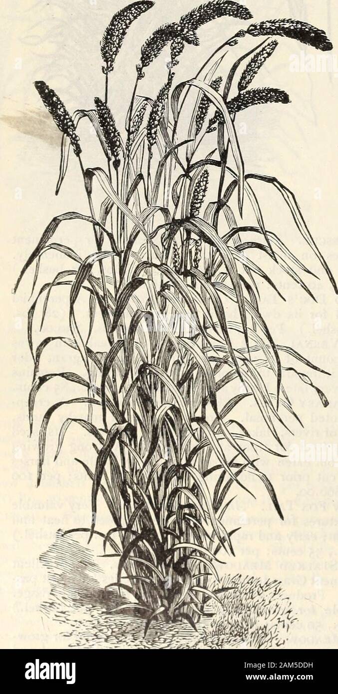 Sandy subsoil hi-res stock photography and images - Alamy