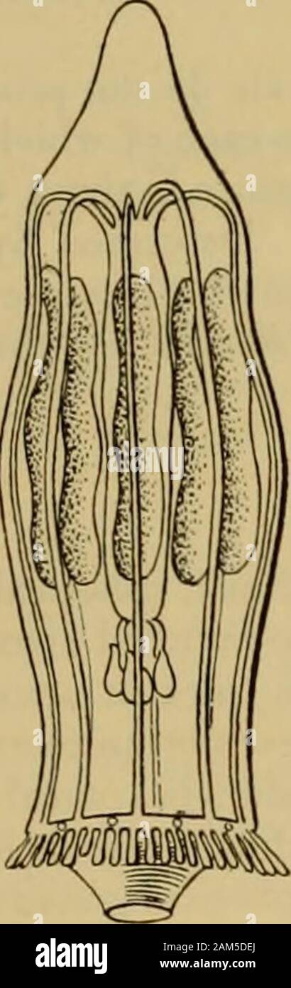 Cylindrical spindle hi-res stock photography and images - Alamy