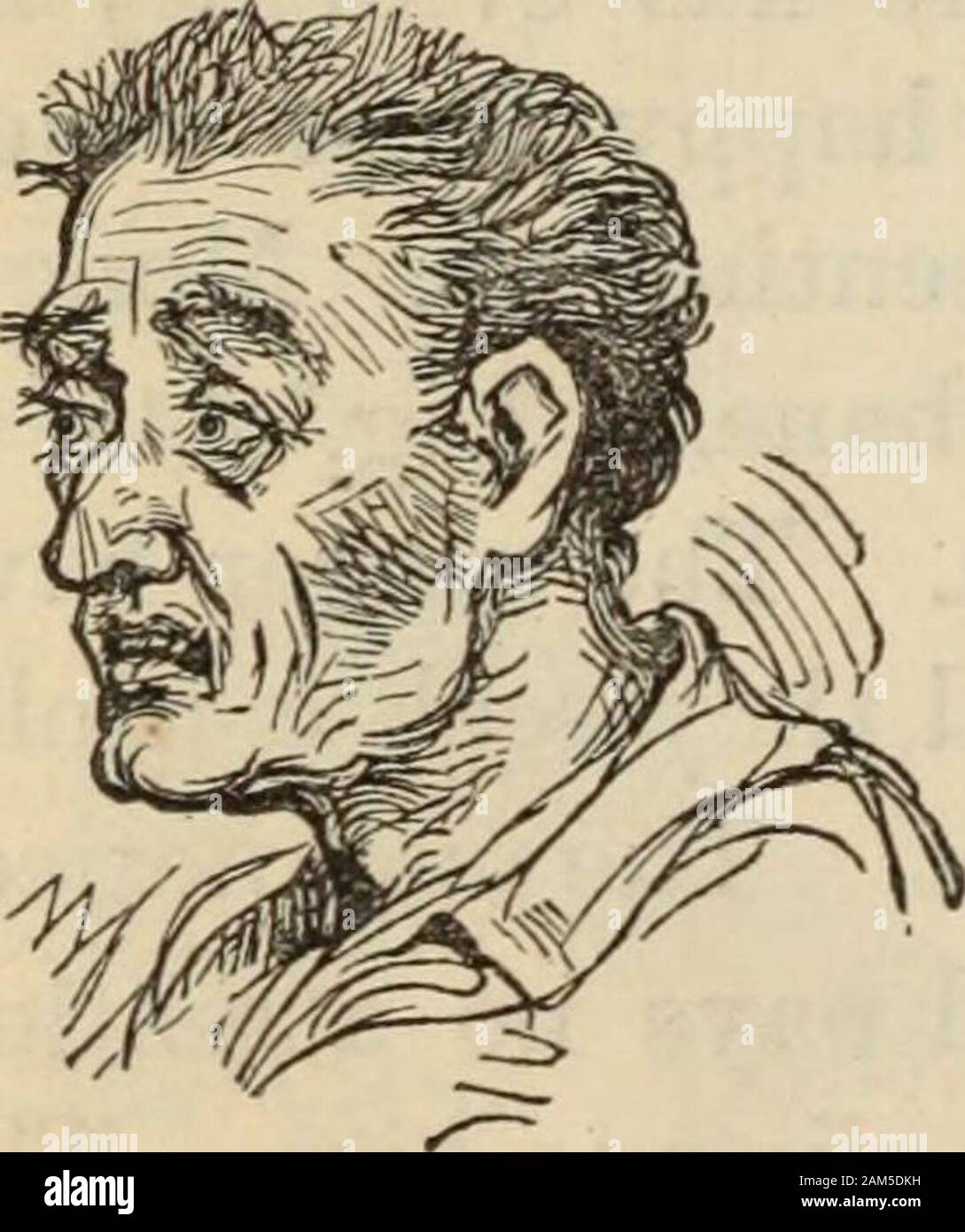 Brain pic hi-res stock photography and images - Alamy