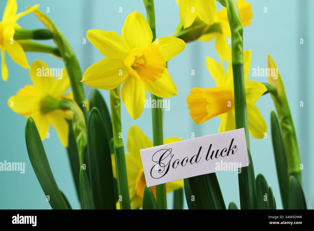 Good luck background hi-res stock photography and images - Alamy