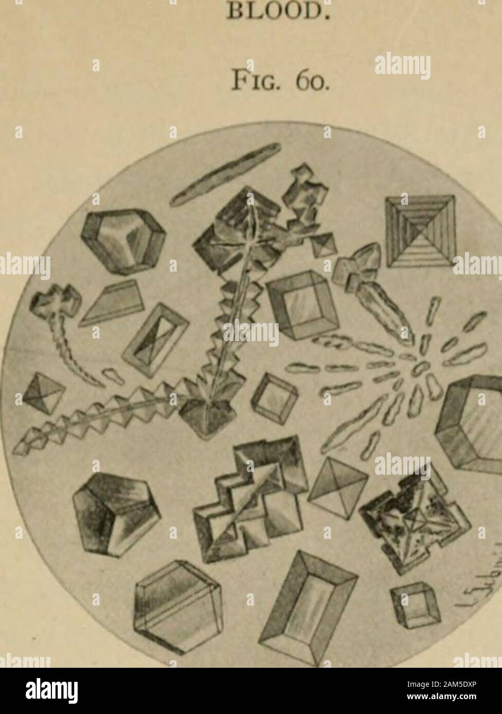Sodium chloride test hi-res stock photography and images - Alamy