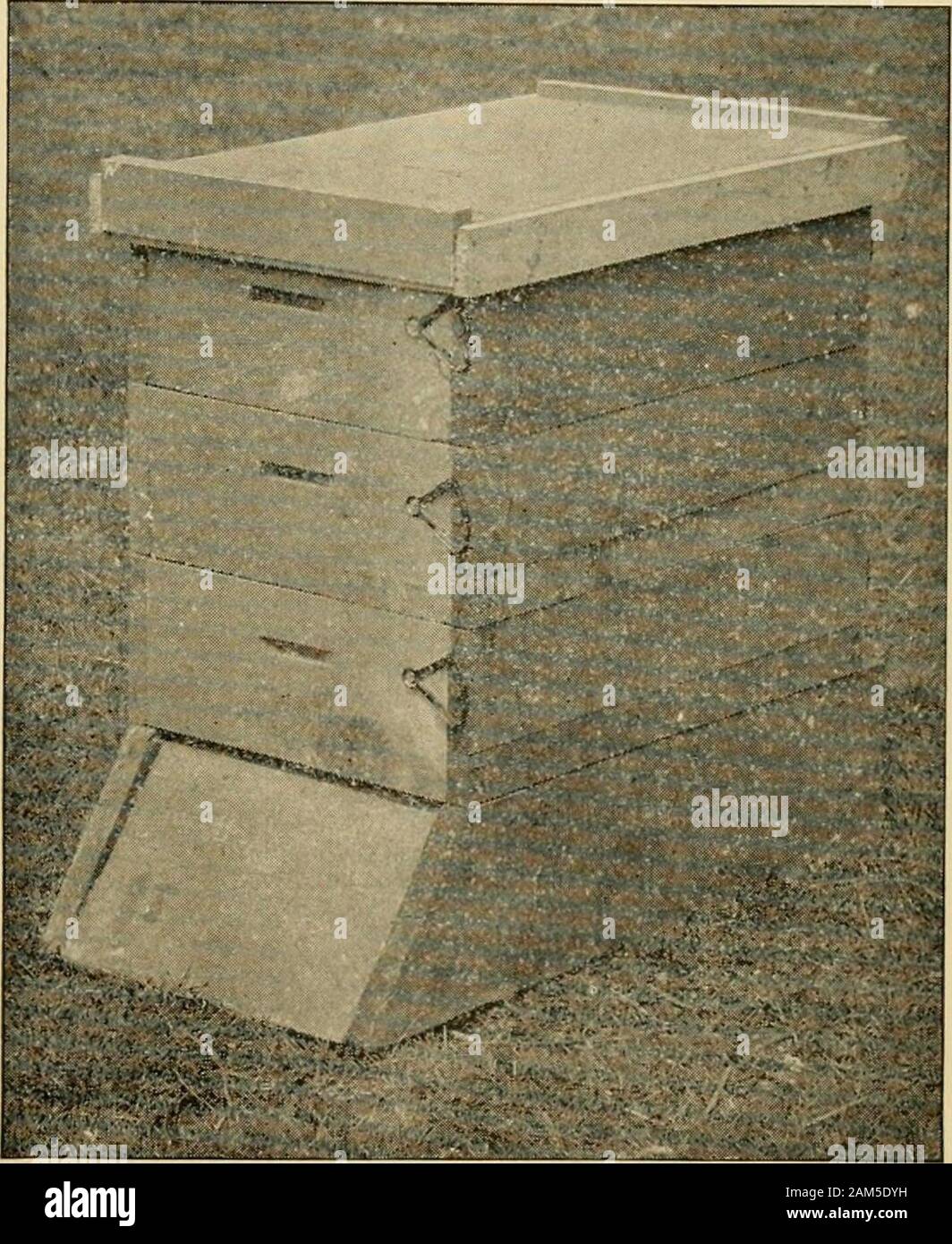 Gleanings in bee culture . heavy bee-forage which his bees can plainly ...