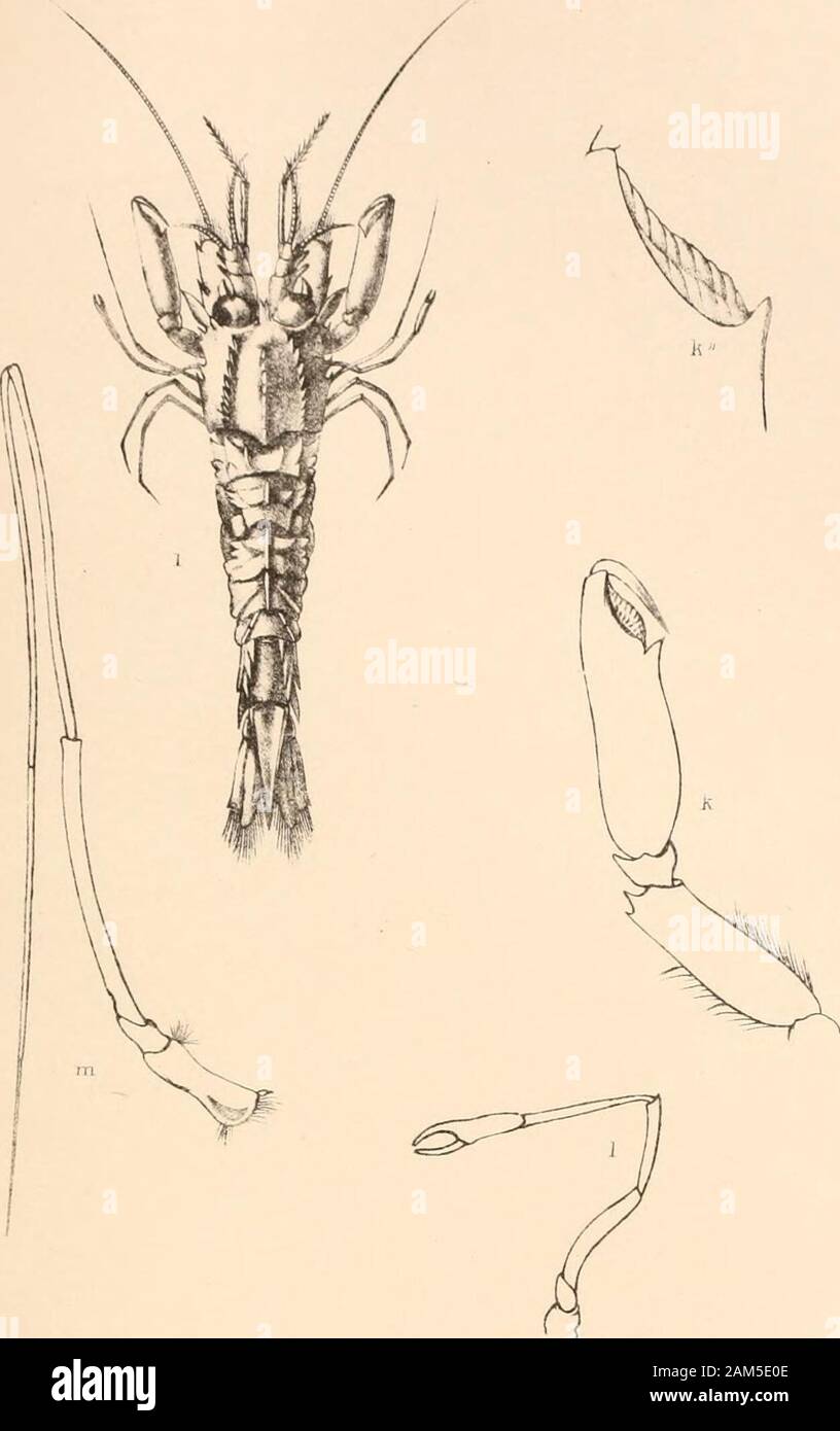 G p thomson hi-res stock photography and images - Alamy