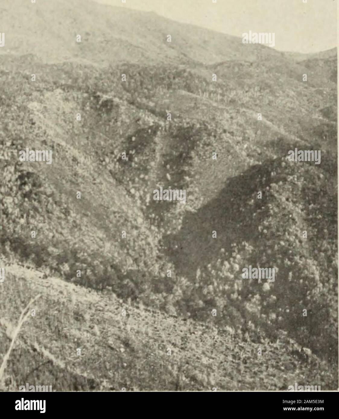 The geology of the Dun Mountain subdivision, Nelson . CUUl. Dux ...
