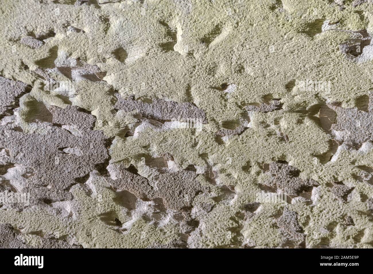 Rough texture hi-res stock photography and images - Alamy