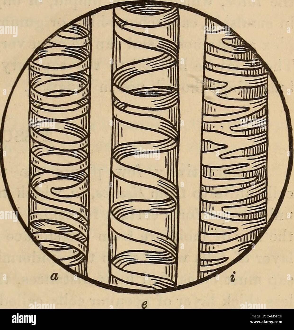 Sieve cell hi-res stock photography and images - Alamy