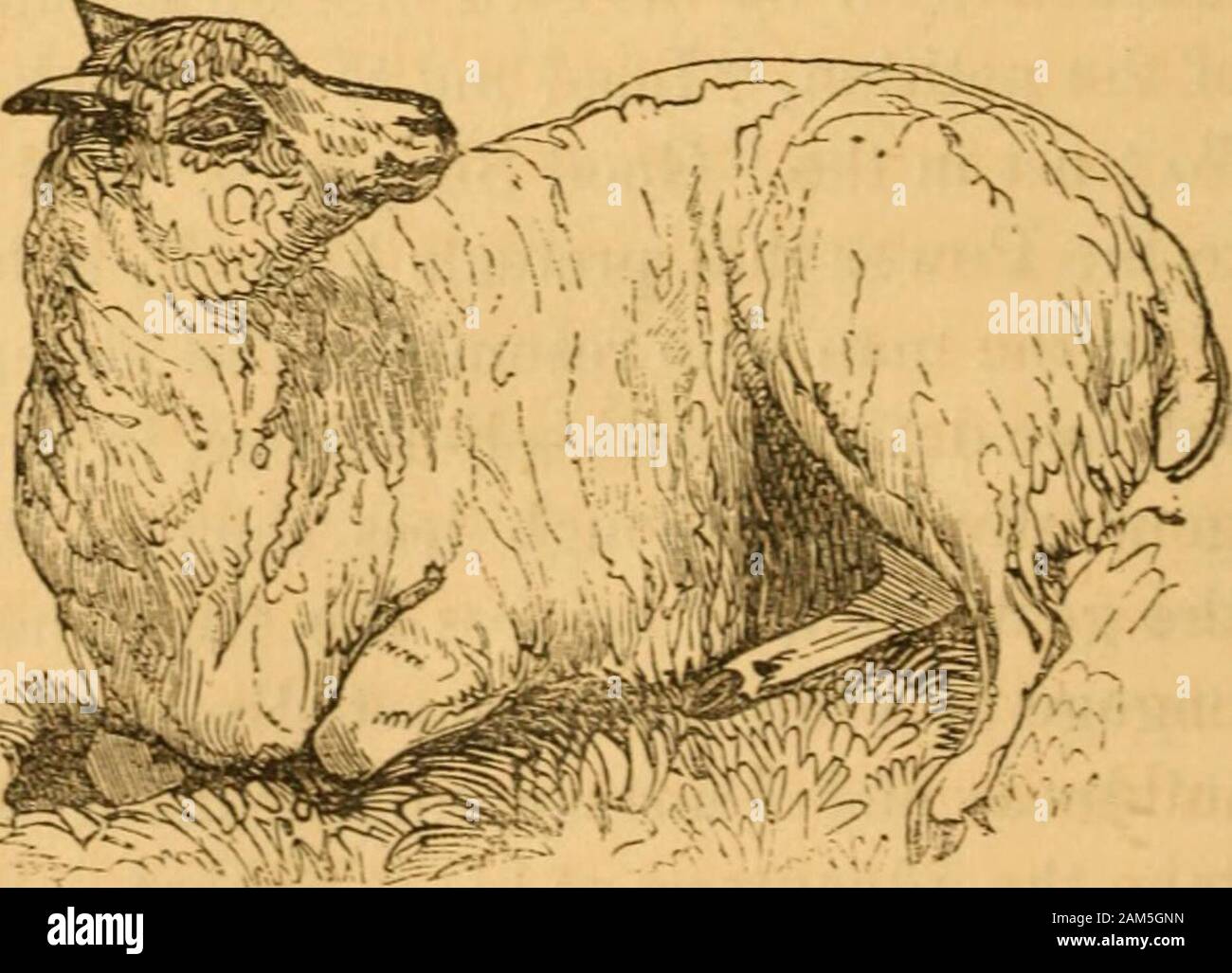 Scott anger hi-res stock photography and images - Alamy