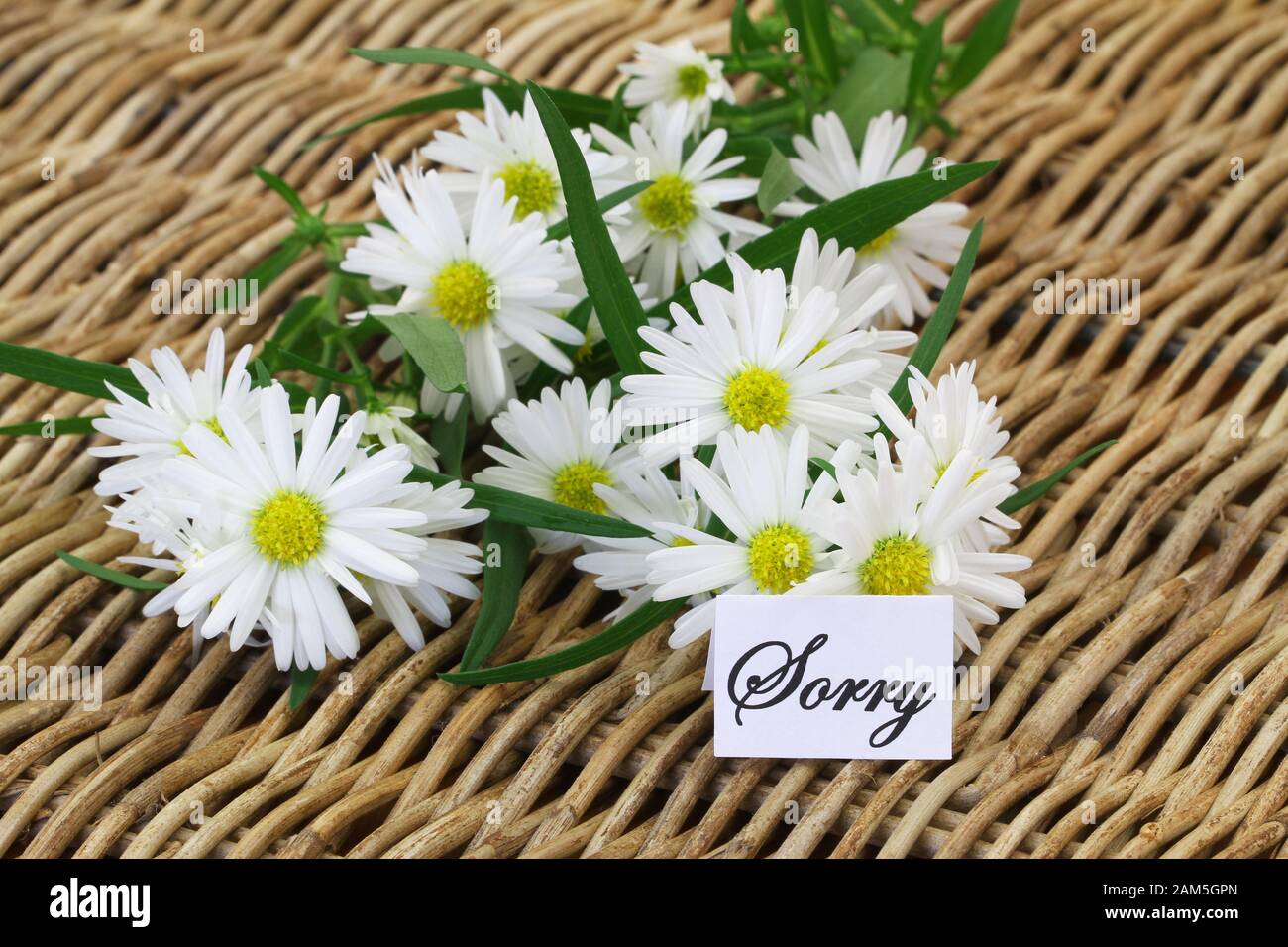 Sorry Written With Flowers