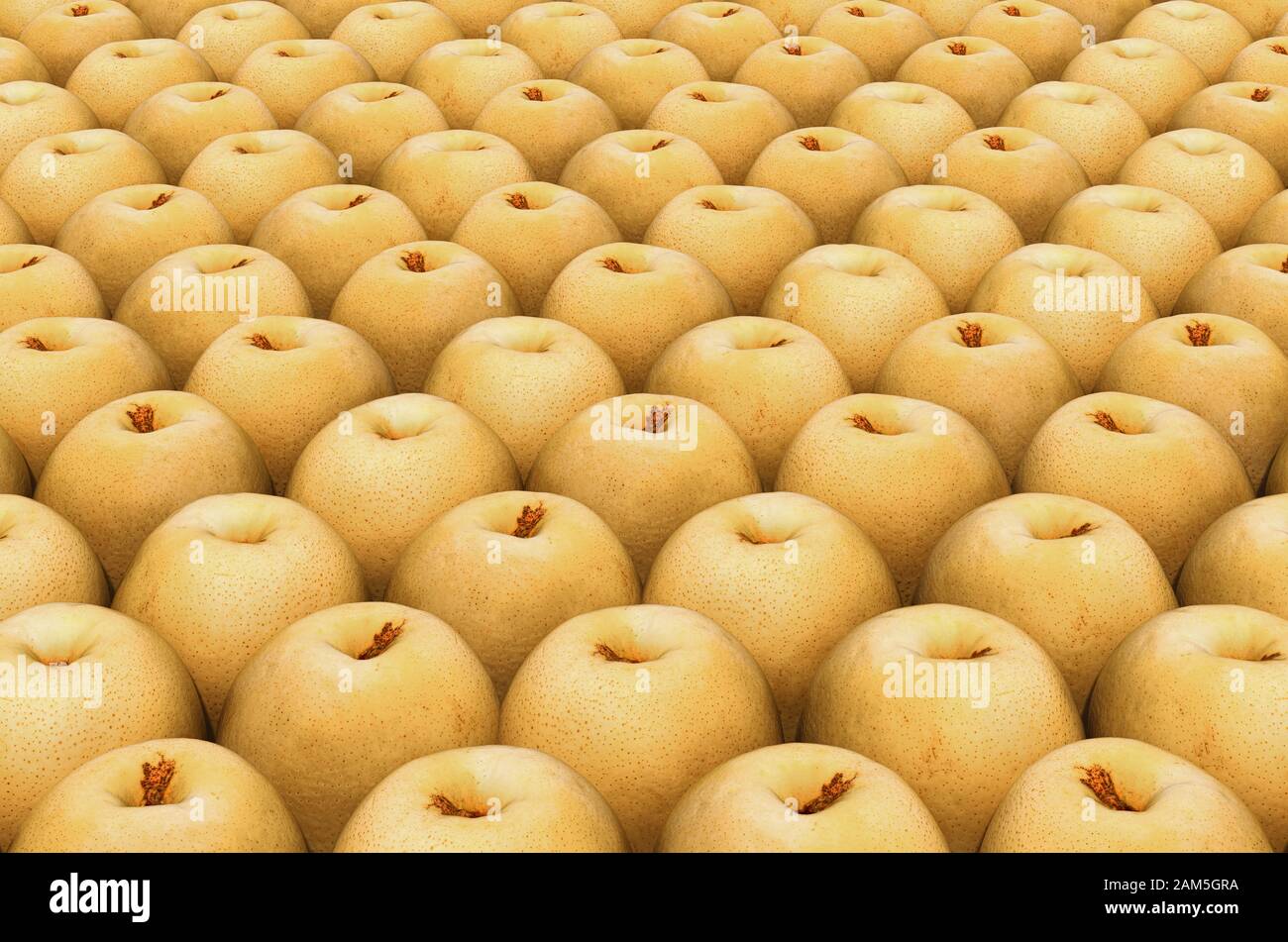 Background from Chinese pears Nashi with realistic texture, 3D ...