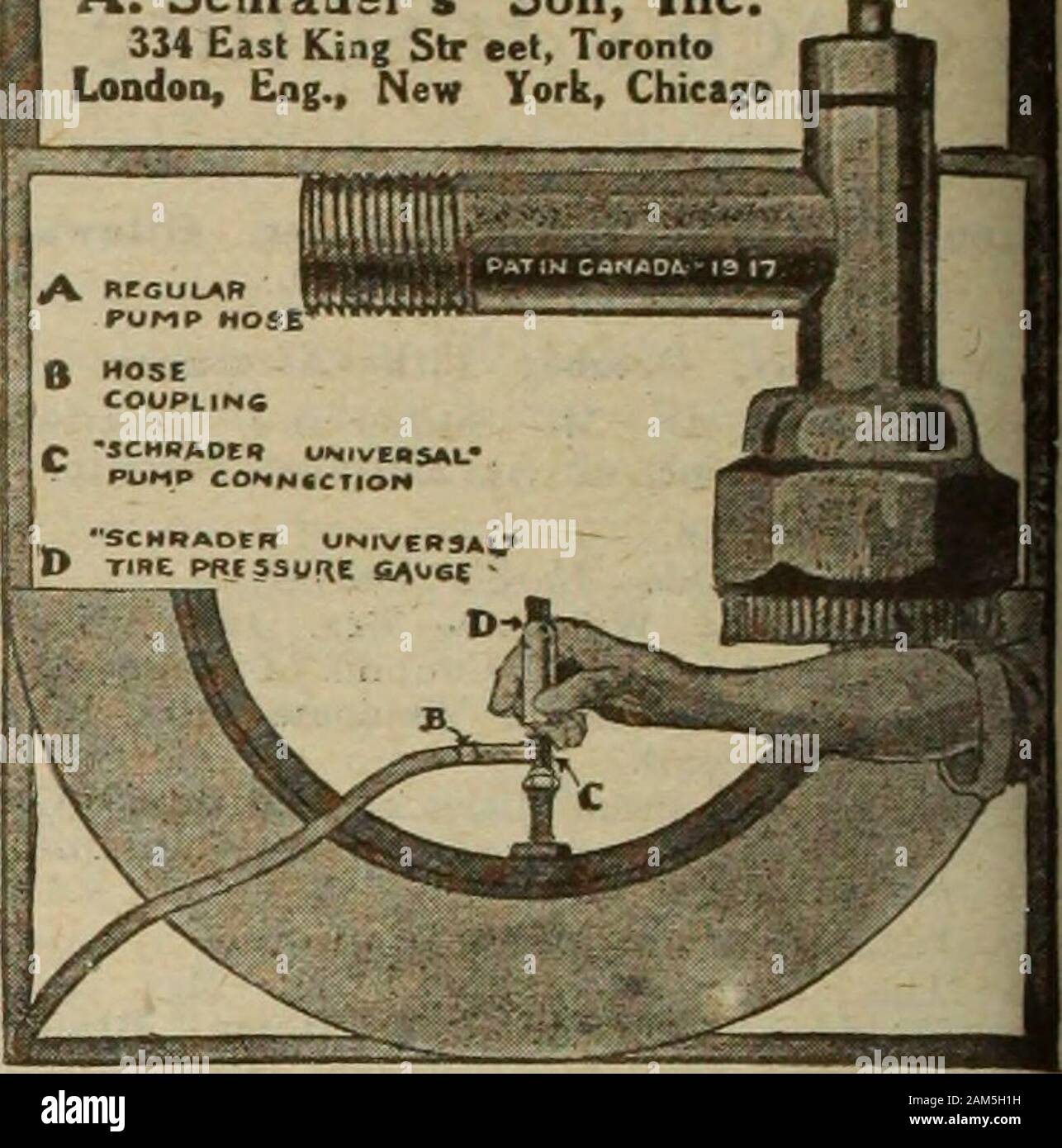 Browbeating High Resolution Stock Photography and Images - Alamy