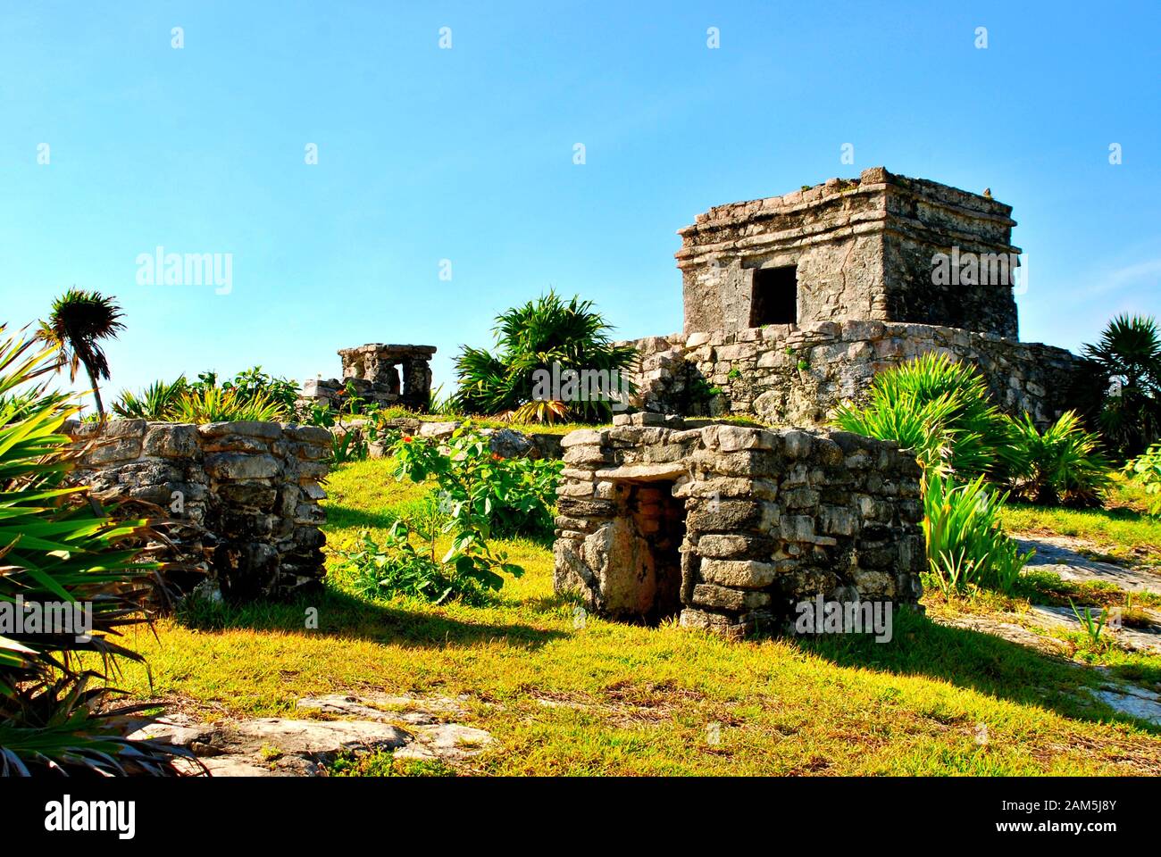 Columbian exchange hi-res stock photography and images - Alamy