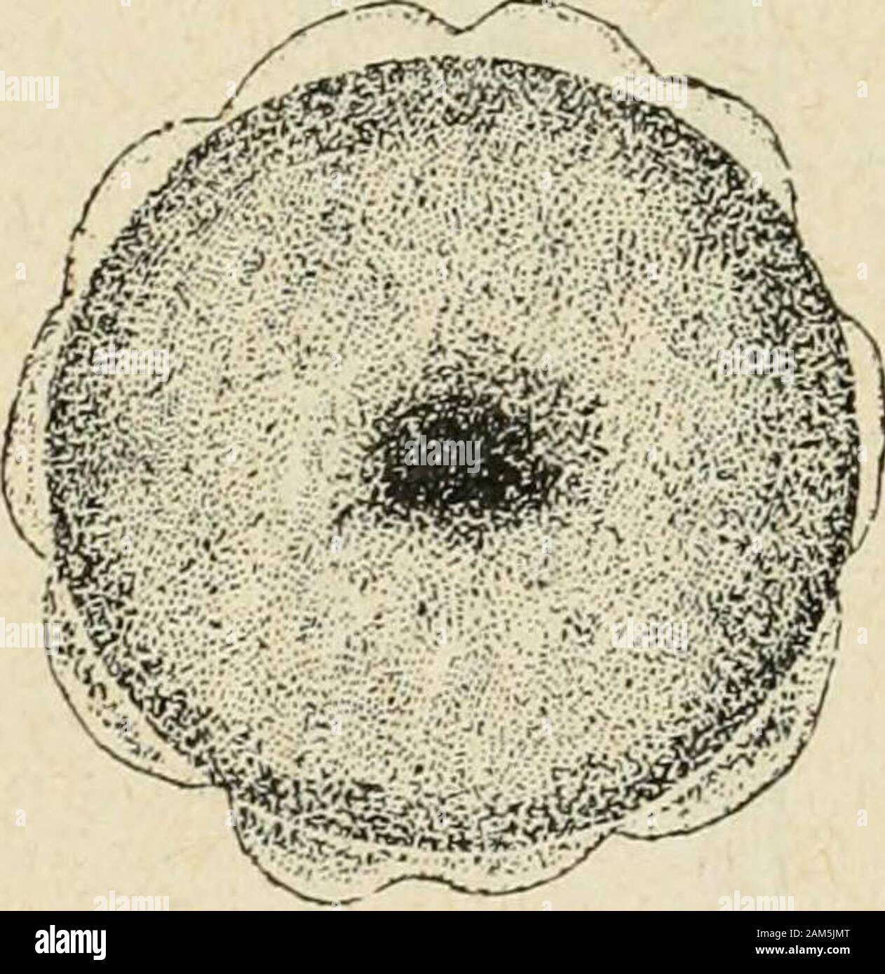 Super histoire hi-res stock photography and images - Alamy