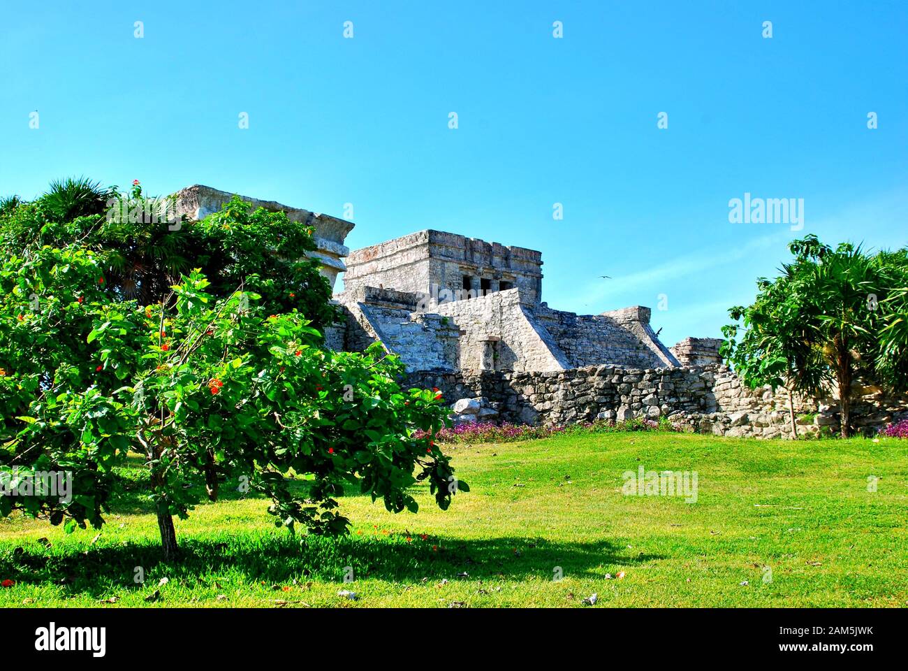 Columbian exchange hi-res stock photography and images - Alamy