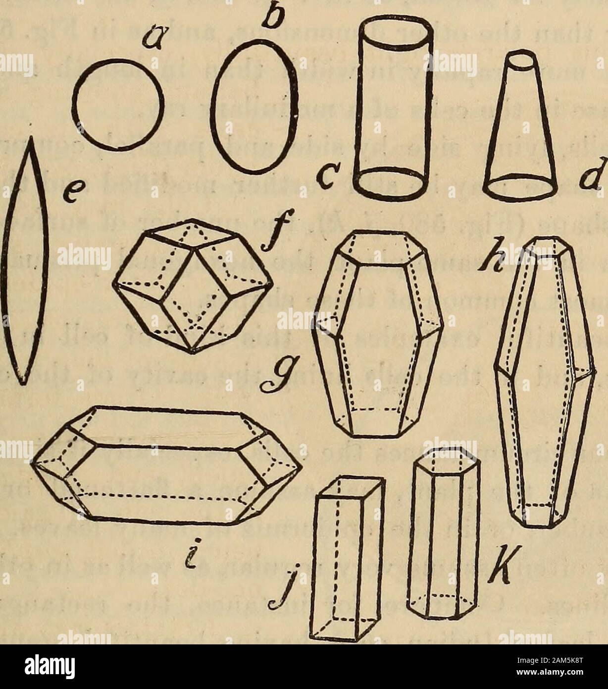 Lime sap hi-res stock photography and images - Alamy