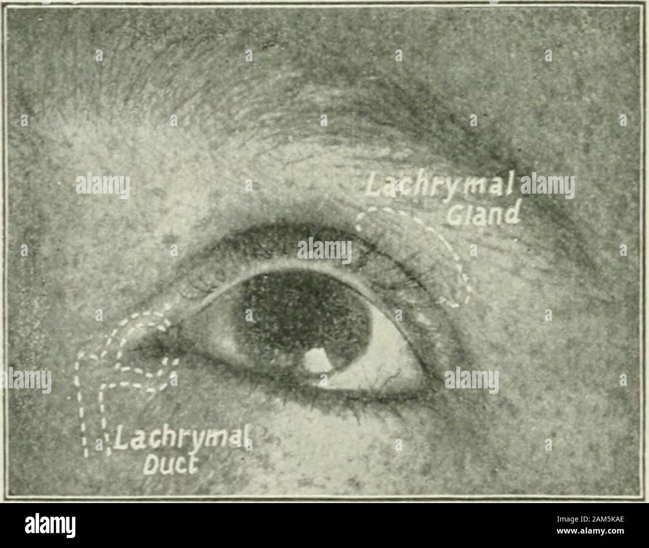 Mnet High Resolution Stock Photography and Images - Alamy