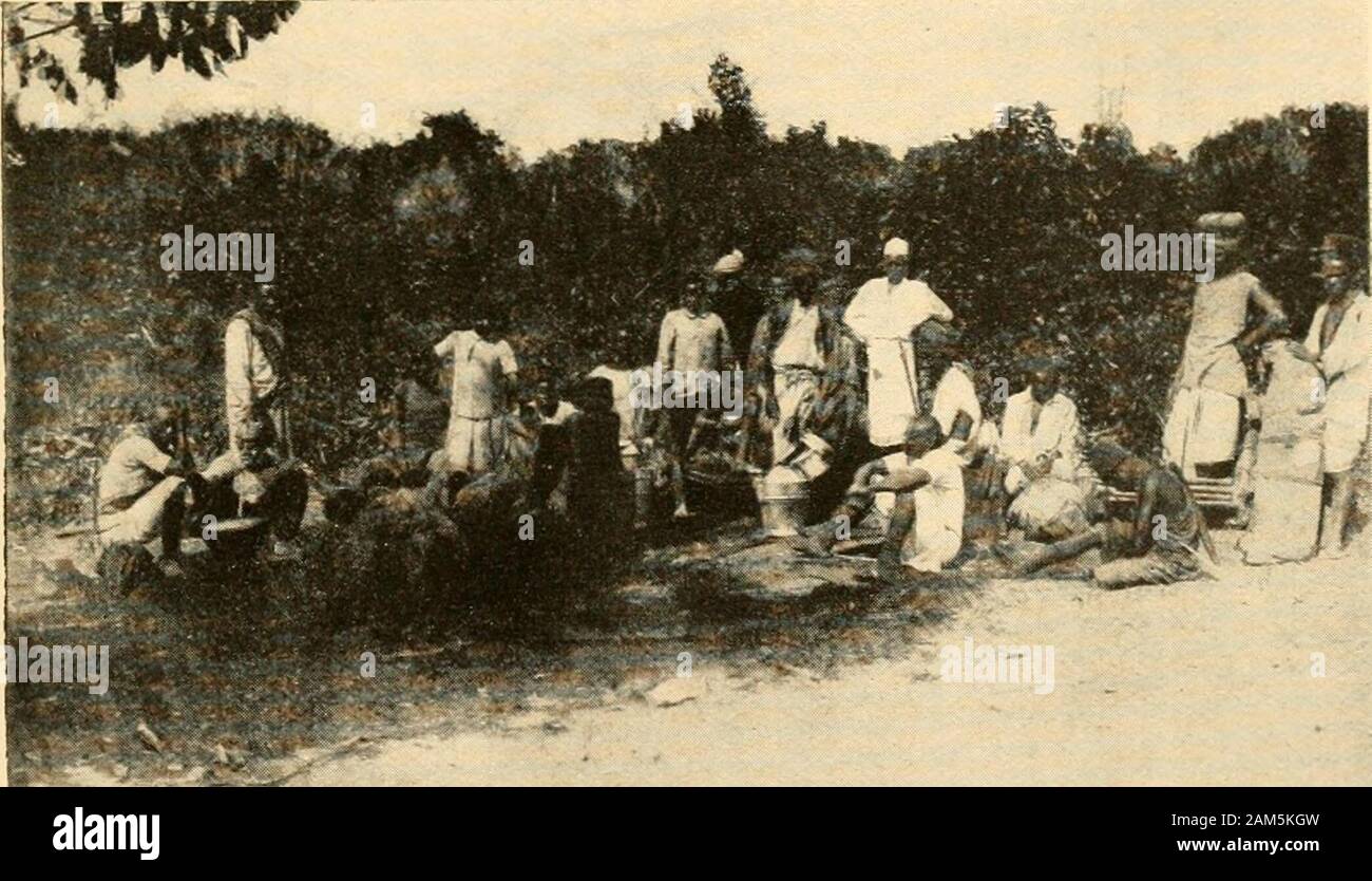 Watusi tribe hi-res stock photography and images - Alamy