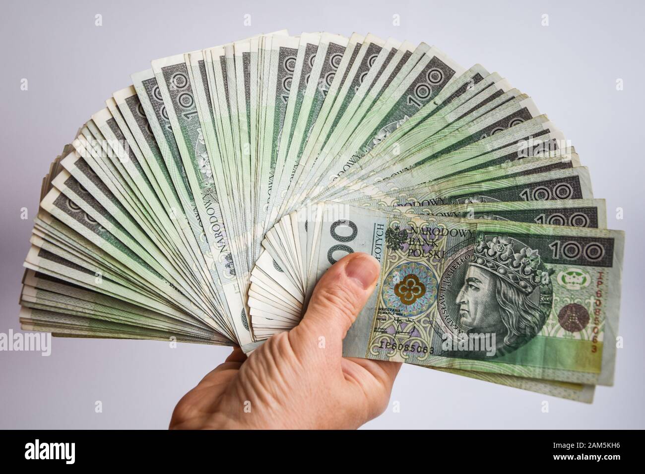 polish zloty currency, poland money, hand holding polish cash on the ...