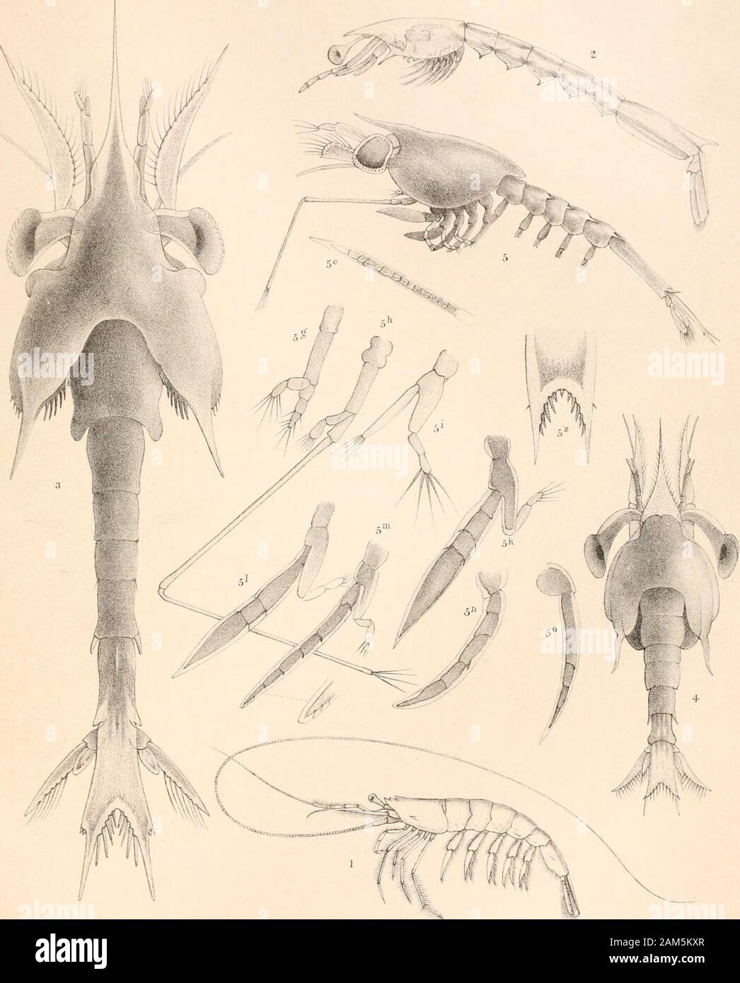 Young george sand hi-res stock photography and images - Alamy