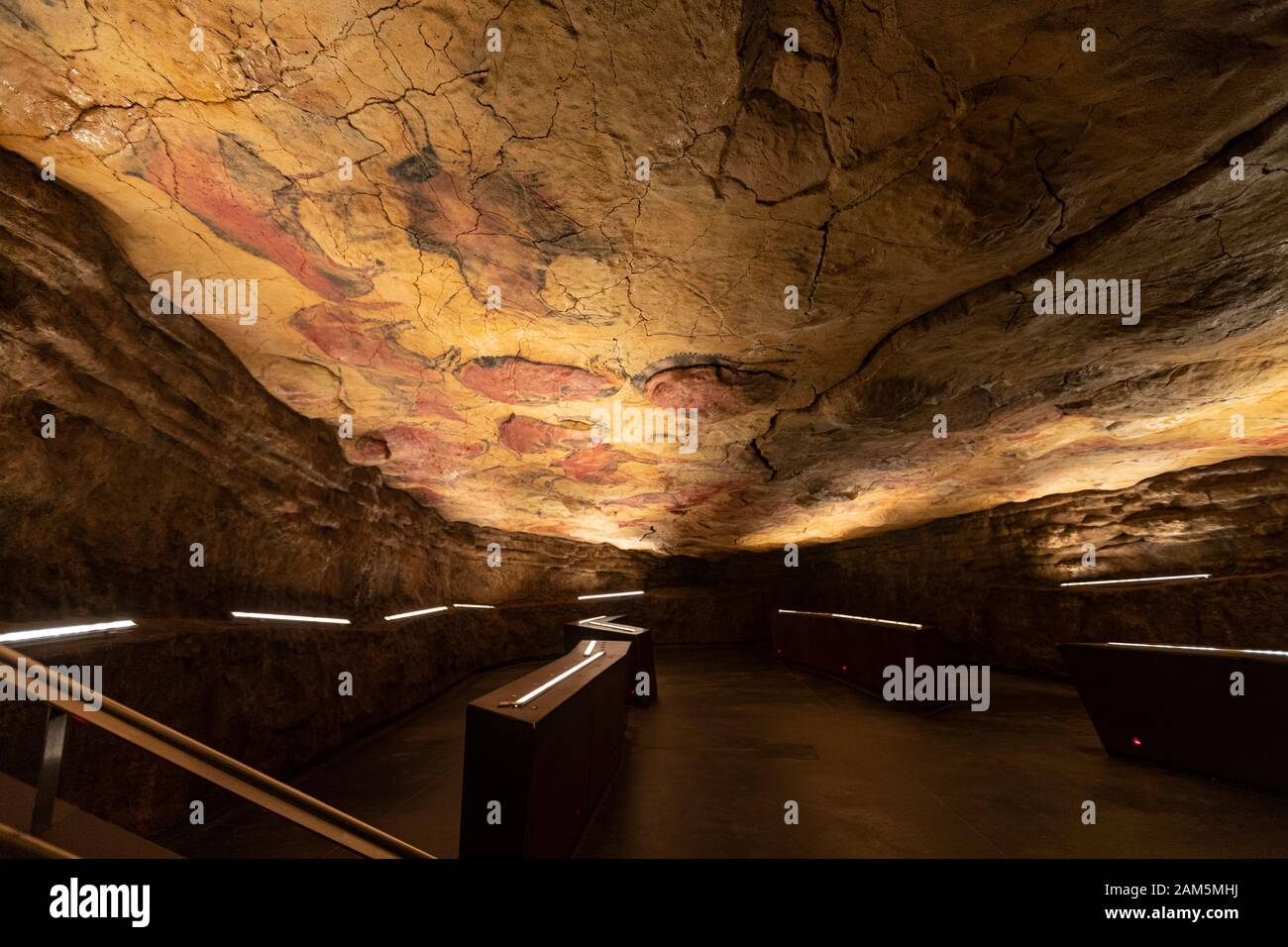 Ceiling of the Neocave of Cave of Altamira, National Museum and ...