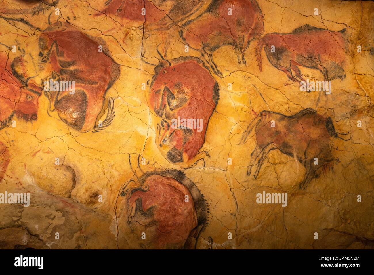 Cave paintings altamira hi-res stock photography and images - Alamy