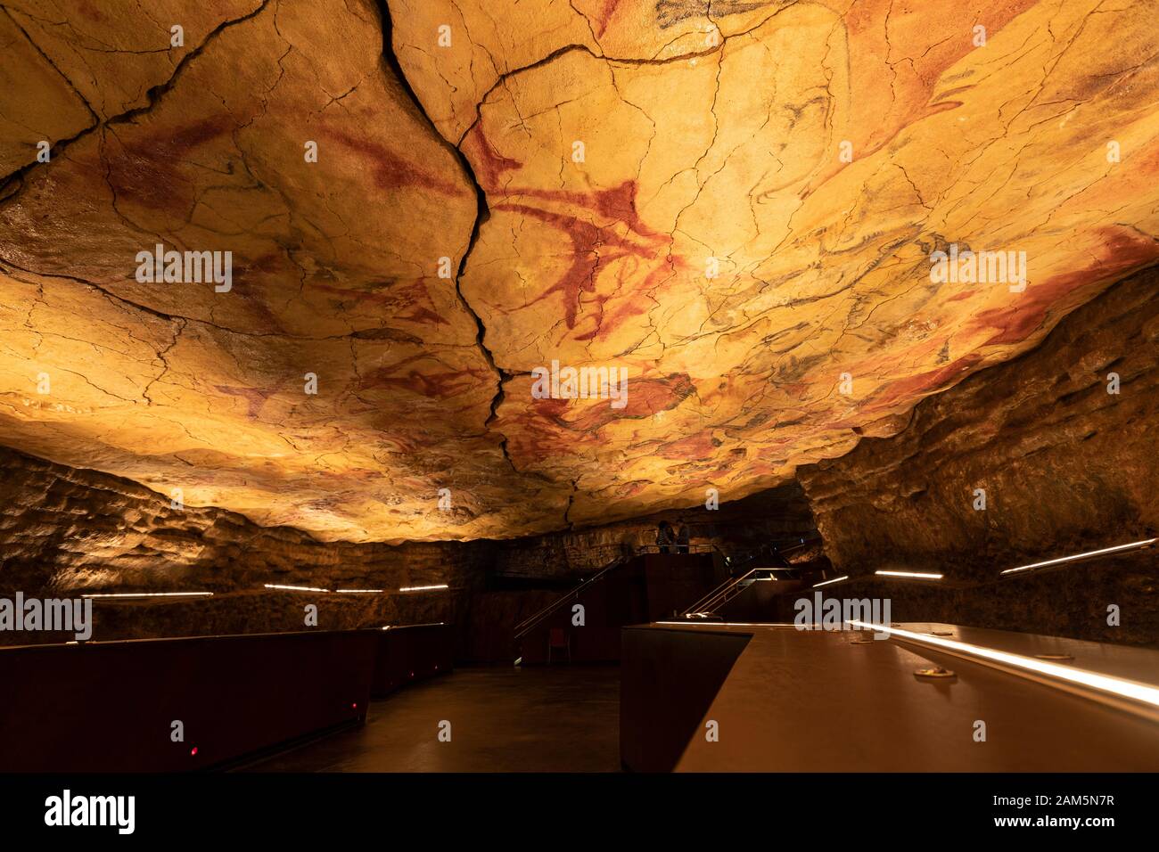 Ceiling of the Neocave of Cave of Altamira, National Museum and ...