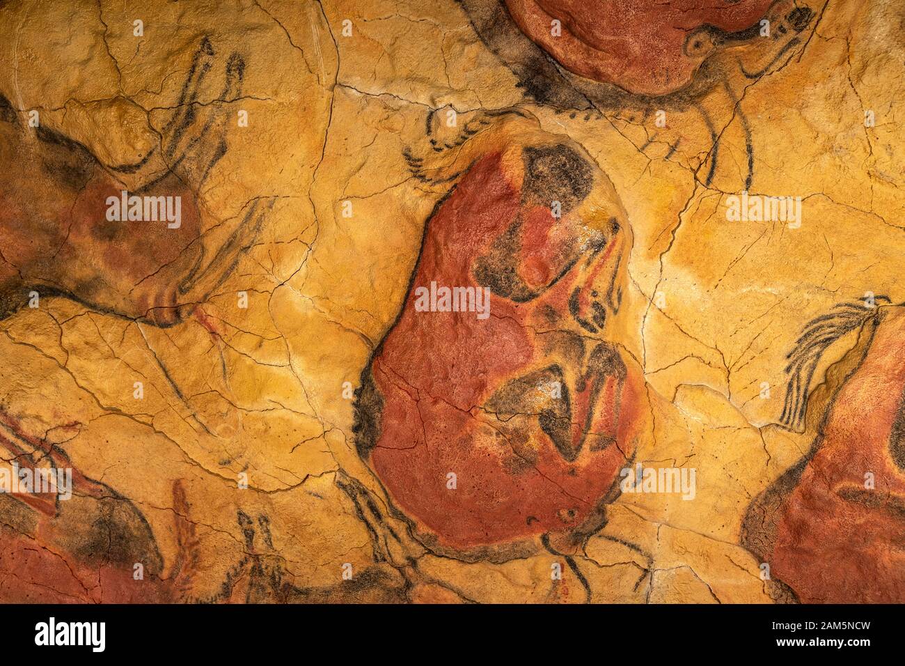 Neocave of Cave of Altamira, National Museum and Research Center of ...