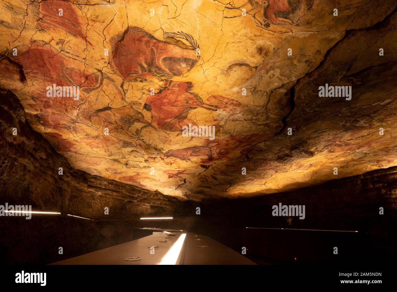 Ceiling of the Neocave of Cave of Altamira, National Museum and ...
