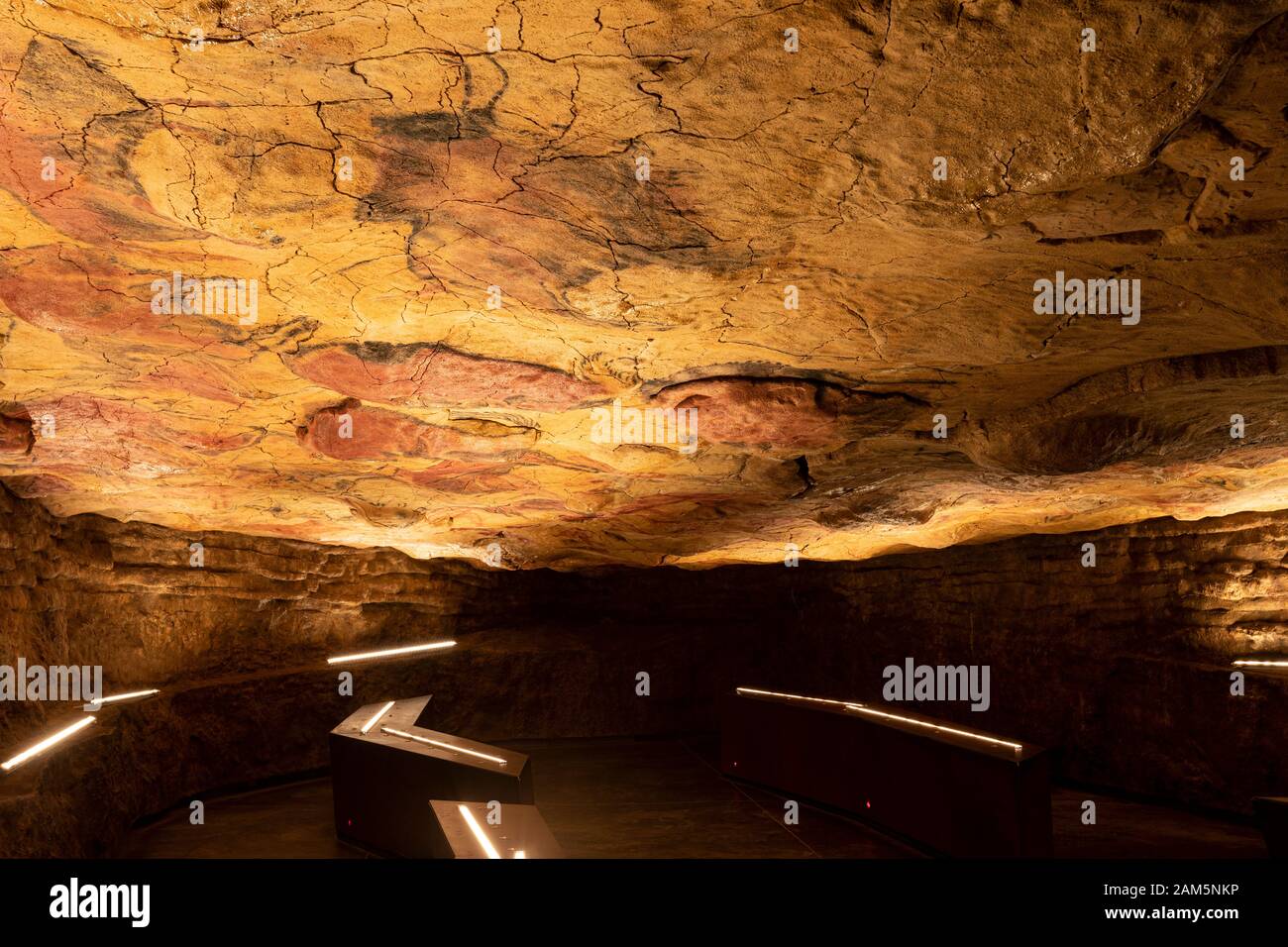 Ceiling of the Neocave of Cave of Altamira, National Museum and ...