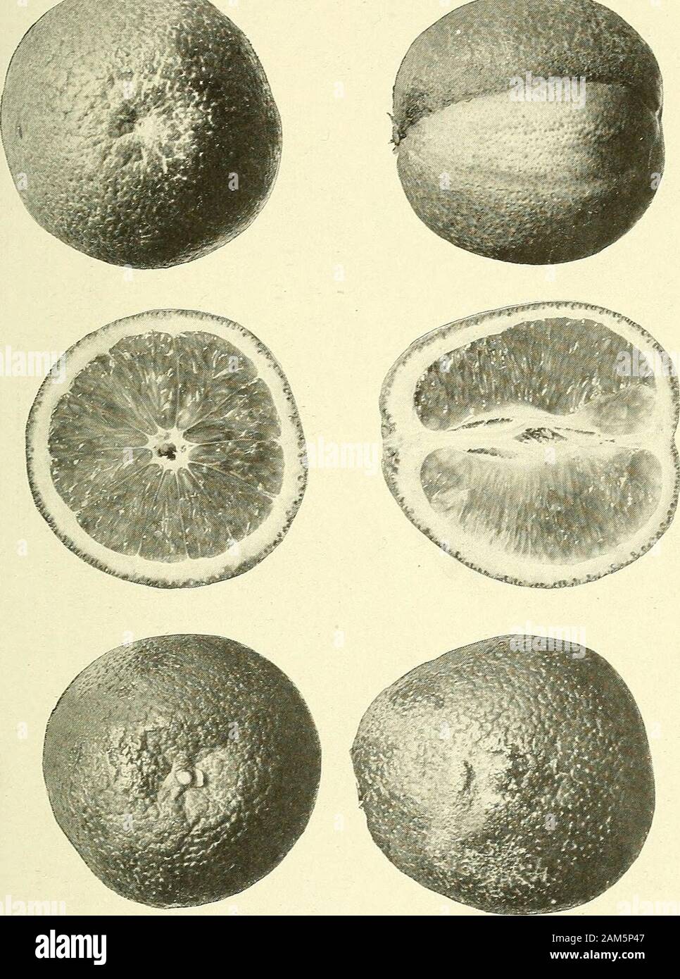 Sdepartment hi-res stock photography and images - Alamy