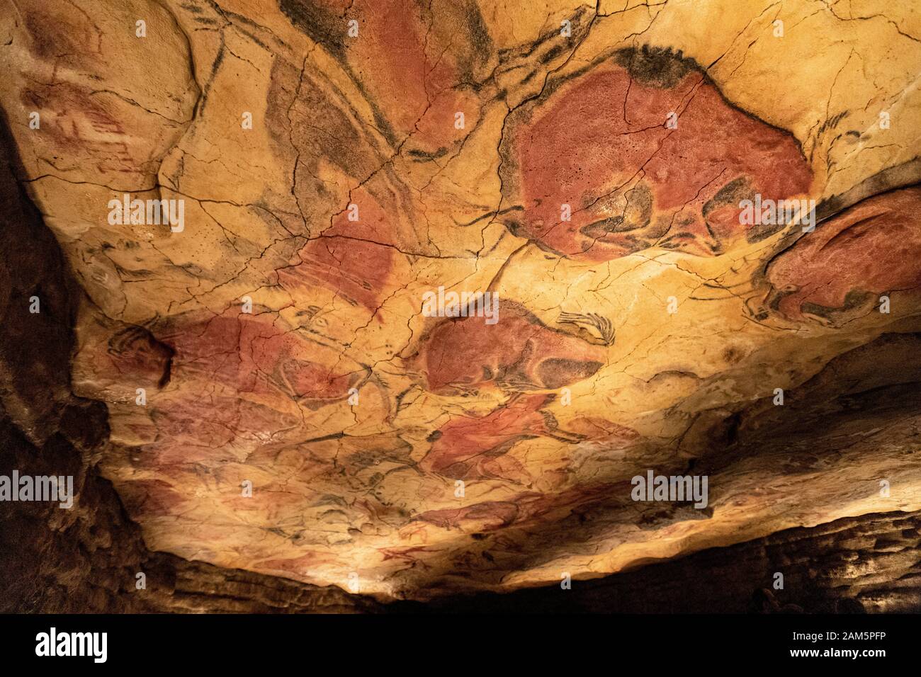 Ceiling of the Neocave of Cave of Altamira, National Museum and ...