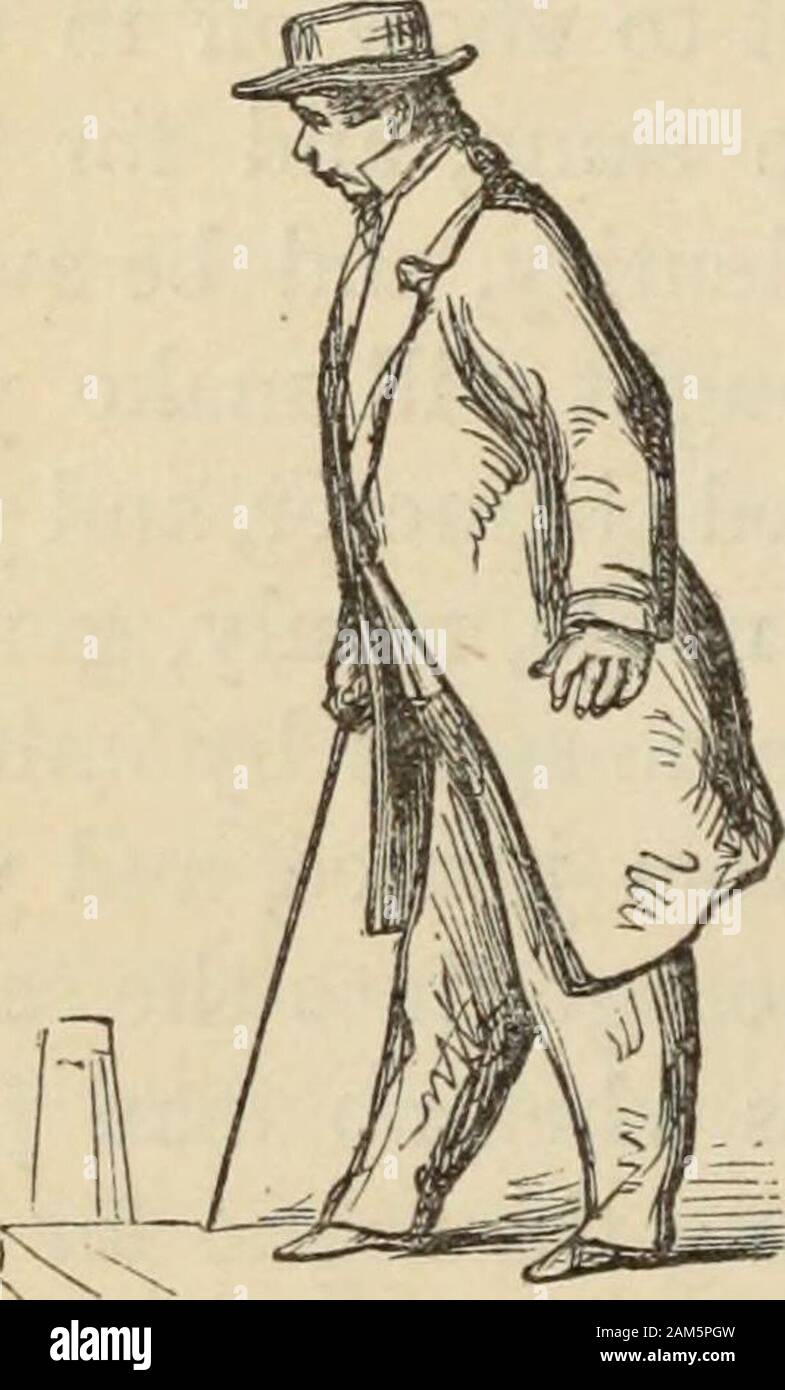 Mr fussy hi-res stock photography and images - Alamy