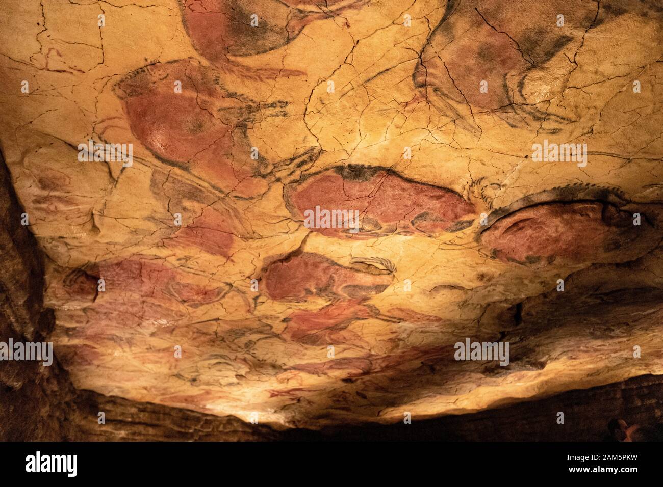 Altamira cave ceiling hi-res stock photography and images - Alamy