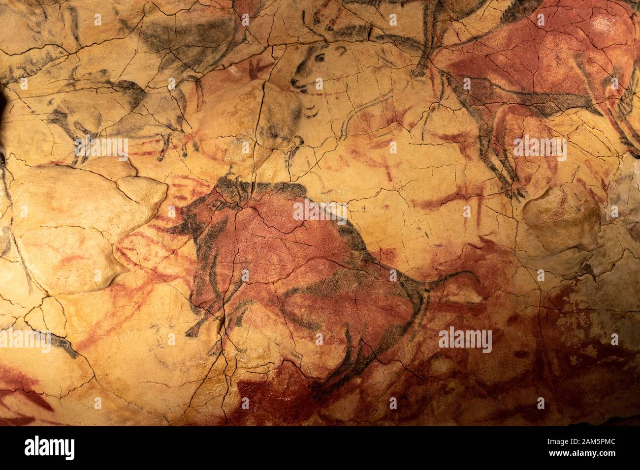 Neocave of Cave of Altamira, National Museum and Research Center of ...