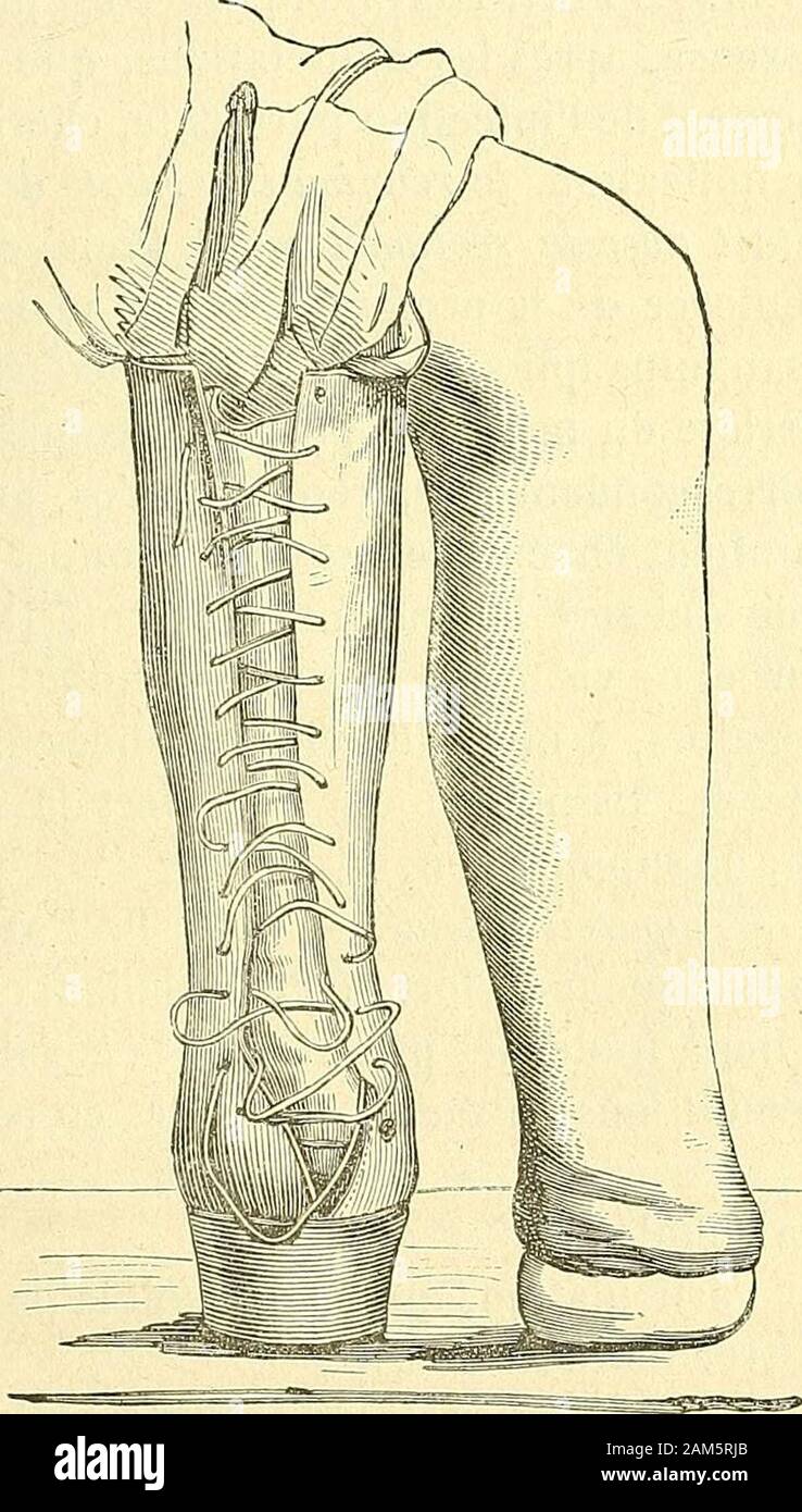 Chirurgie journalière des hopitaux de Paris : répertoire de ...